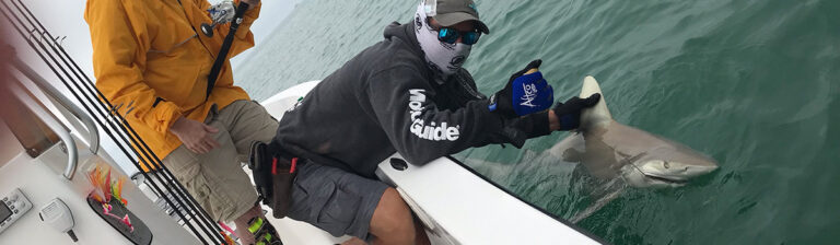 Shark Fishing Key West - Dream Catcher Charters